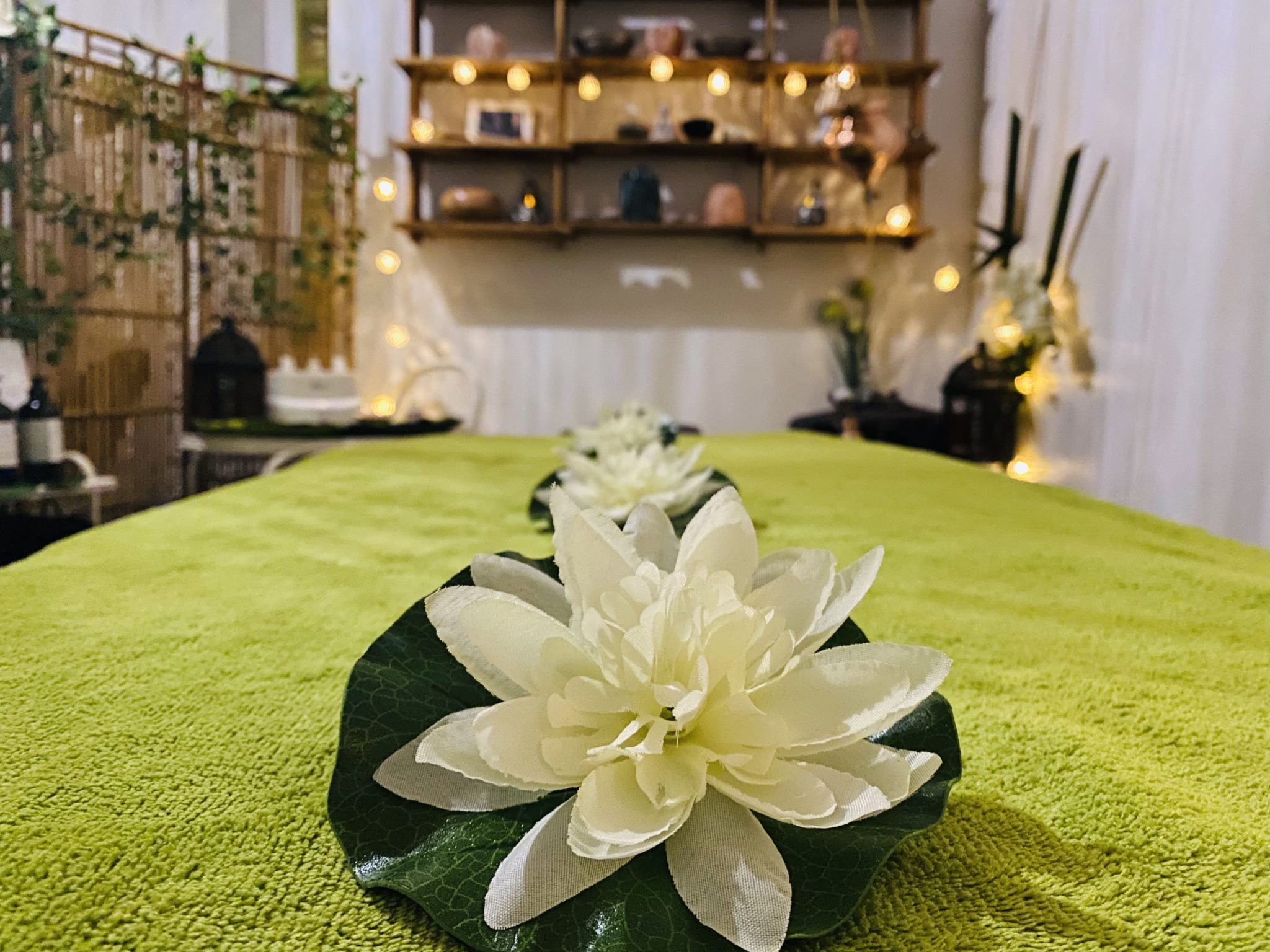 France Massage | Occitanie | Tous les masseur·se·s et salons de massage